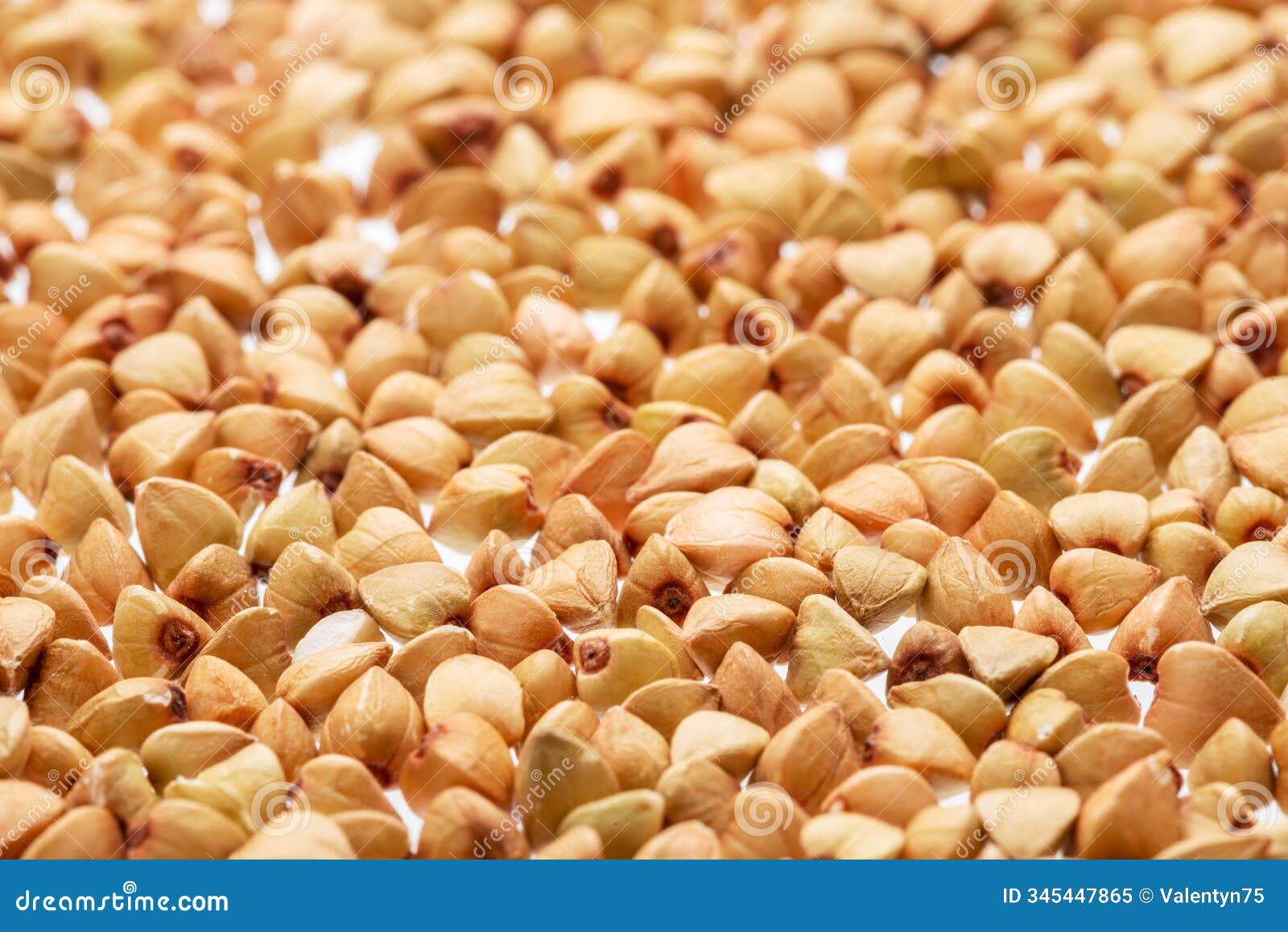 Buckwheat Grains . Dry Brown Kernel As Background Stock Photography ...