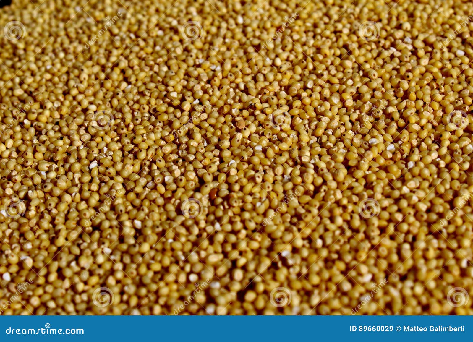 Hulled millet stock image. Image of full, textured, selective - 89660029