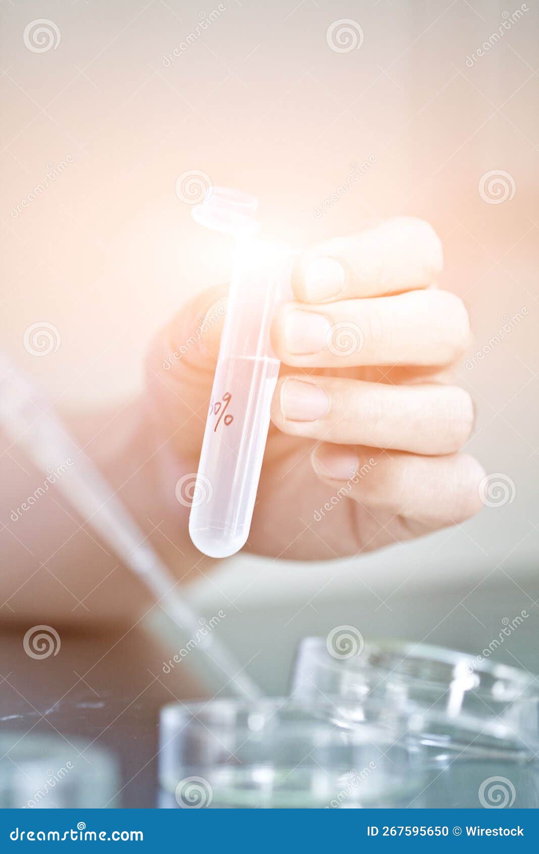 Huma Hand Holding Test Tube Stock Photo - Image of liquid, experiment ...