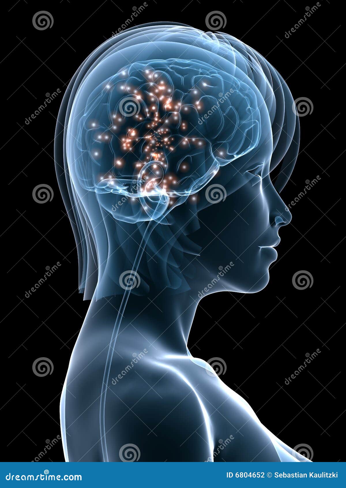 Human active brain stock illustration. Illustration of cerebral - 6804652