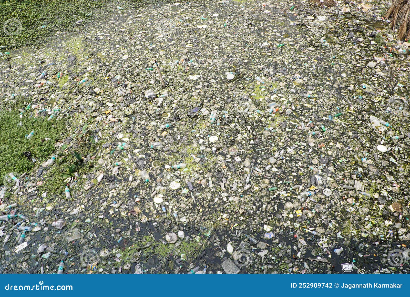 Human Activity is One of the Main Causes of Environmental Pollution ...