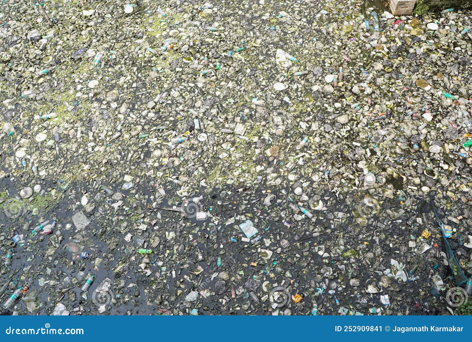 Human Activity is One of the Main Causes of Environmental Pollution ...