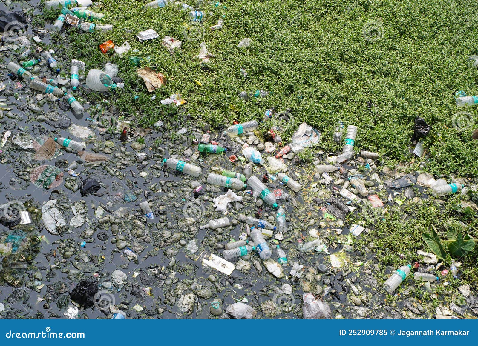 Human Activity is One of the Main Causes of Environmental Pollution ...