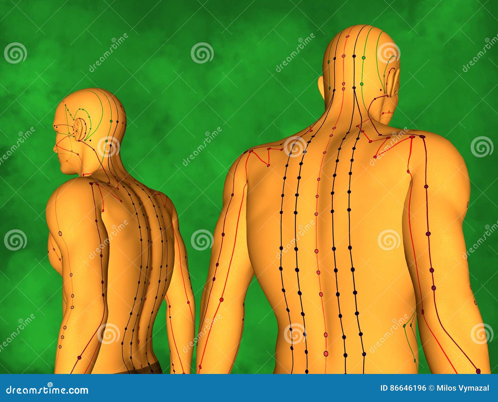 Human Acupuncture Model stock illustration. Illustration of points ...