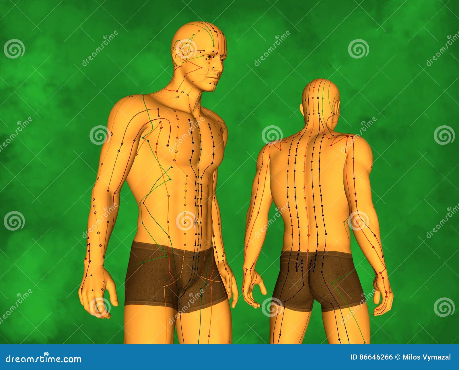 Human Acupuncture Model stock illustration. Illustration of acupuncture ...