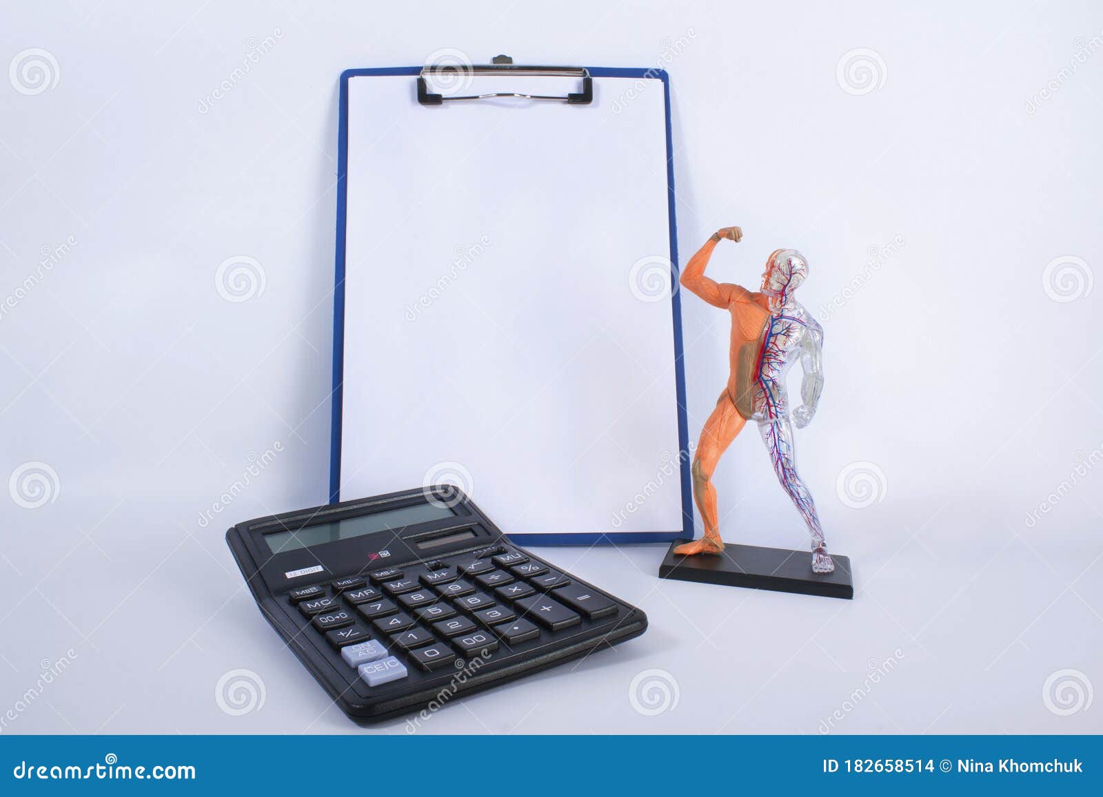 Human Anatomical Model, Calculator and Blank Form Stock Photo - Image ...