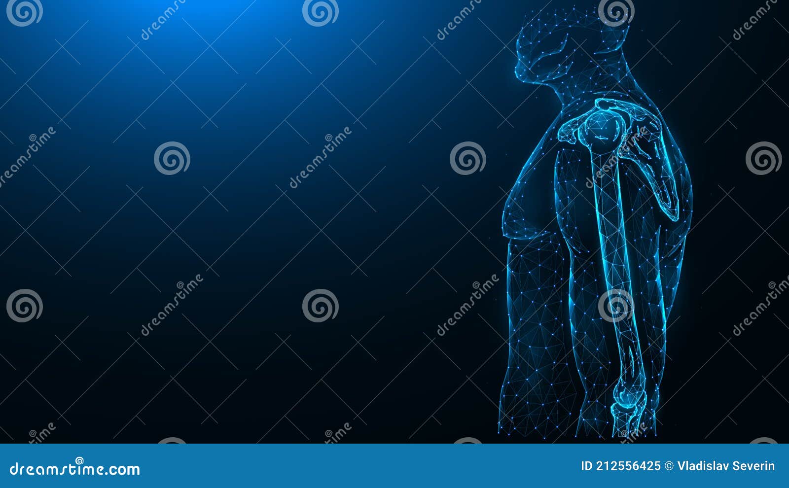 Human Anatomical Model, Shoulder and Elbow Joints Side View Polygonal ...