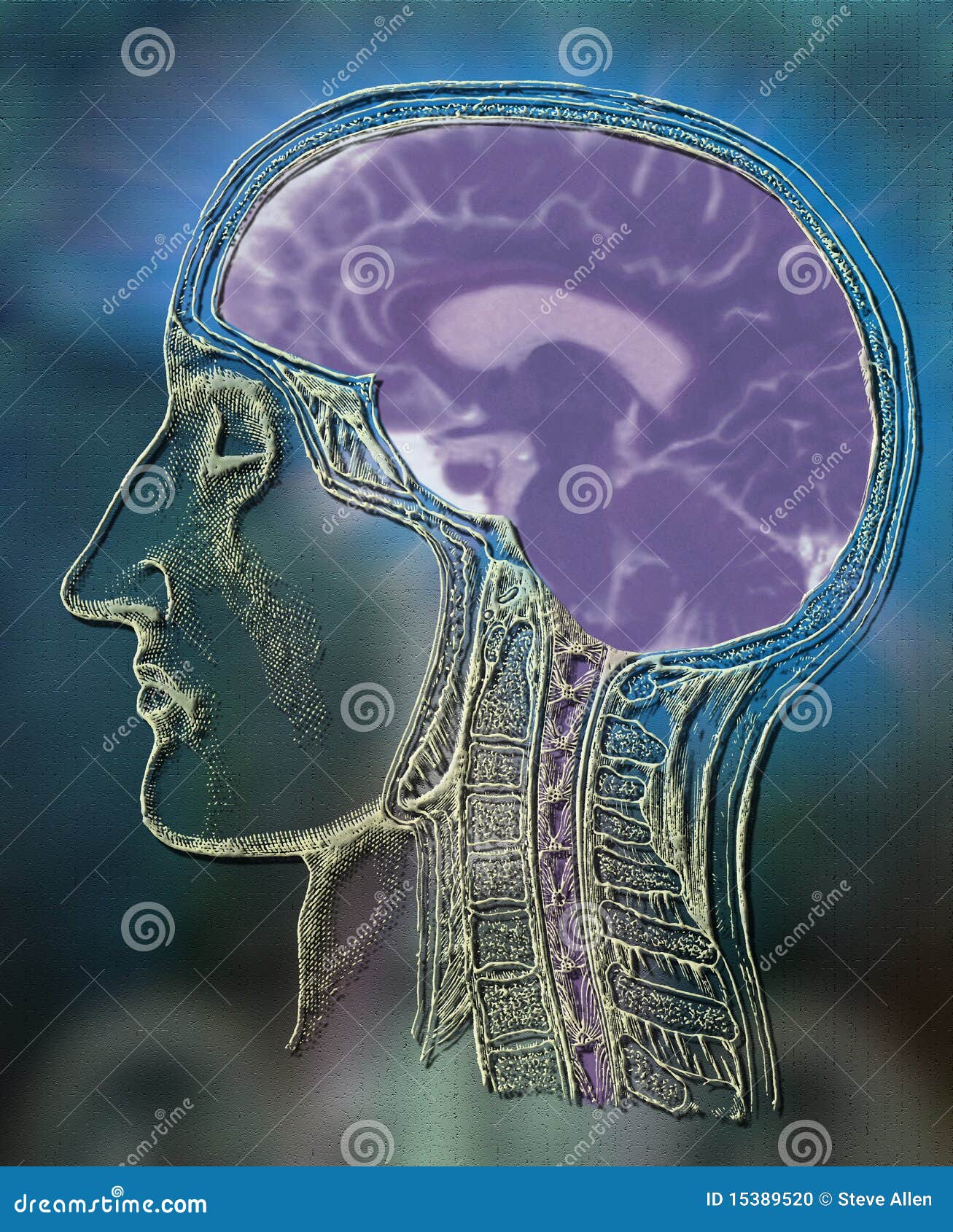 Inteligence Brain Stock Illustrations – 443 Inteligence Brain Stock ...