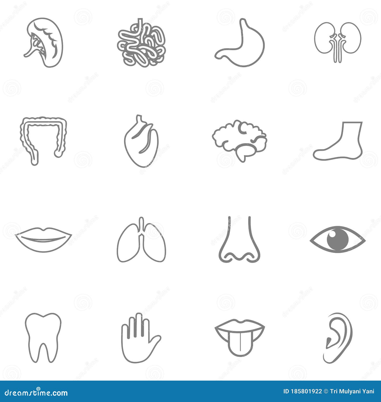 Human Anatomy Icon Vector Design Symbol Stock Vector - Illustration of ...