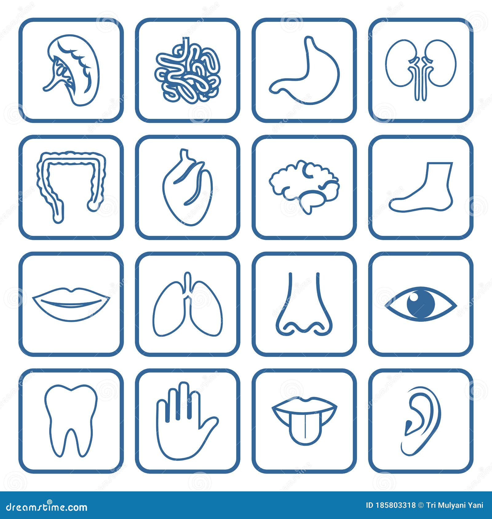 Human Anatomy Icon Vector Design Symbol Stock Vector - Illustration of ...