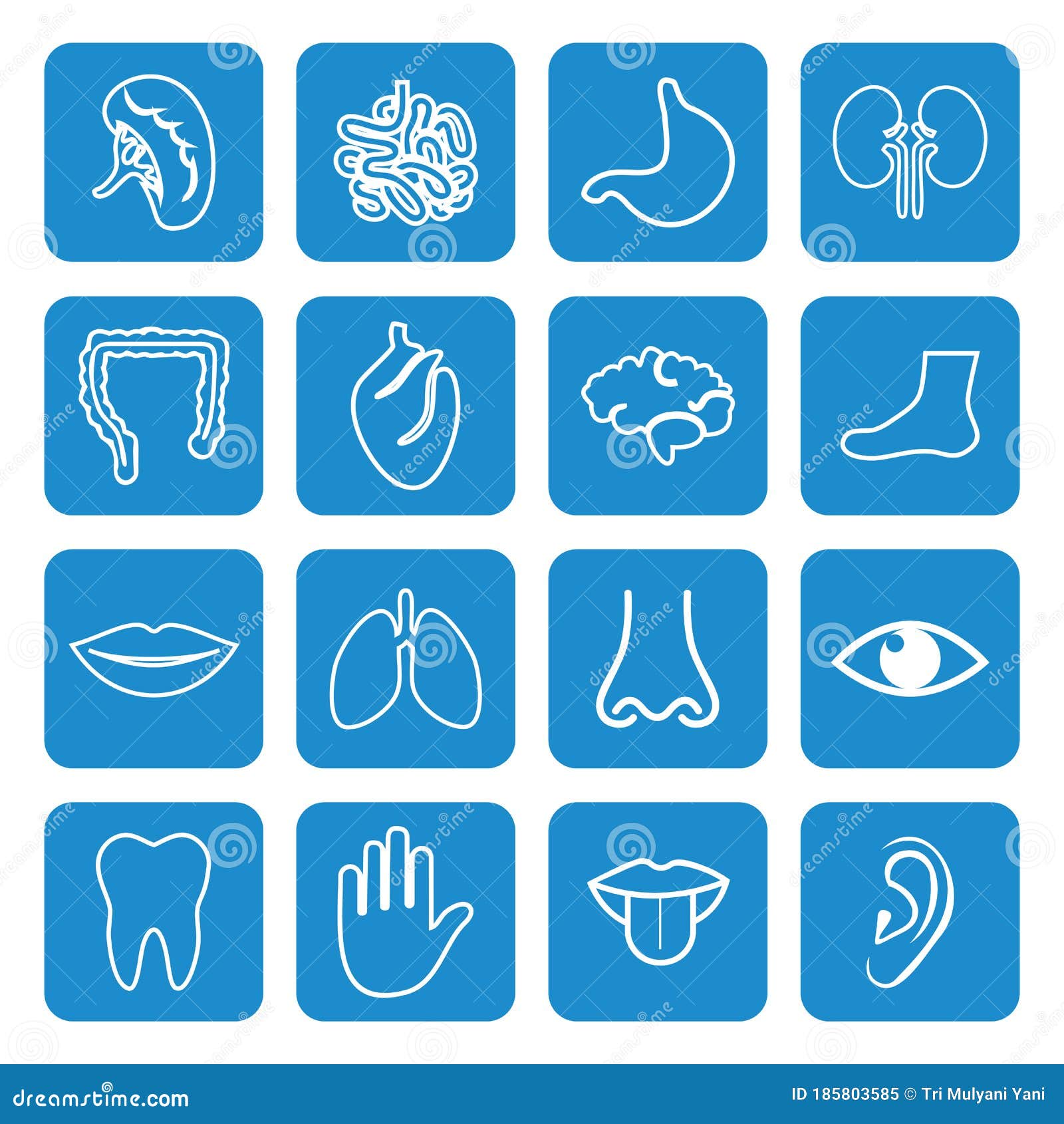 Human Anatomy Icon Vector Design Symbol Stock Vector - Illustration of ...