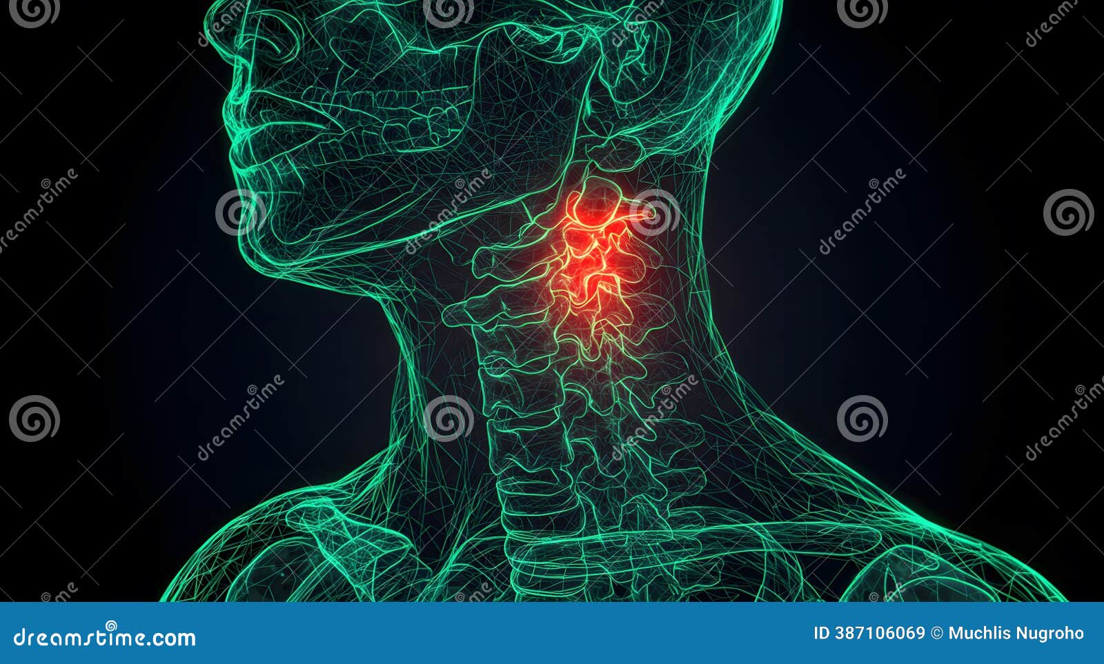 Anatomy Of Cervical Lymph Nodes Vector Illustration | CartoonDealer.com ...