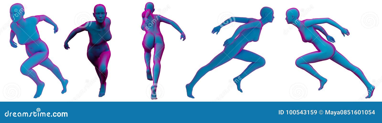 Human anatomy stock illustration. Illustration of rendering - 100543159