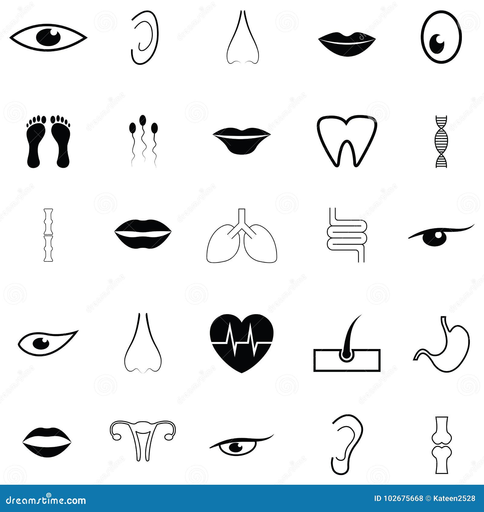 Human anatomy icon set stock vector. Illustration of symbol - 102675668