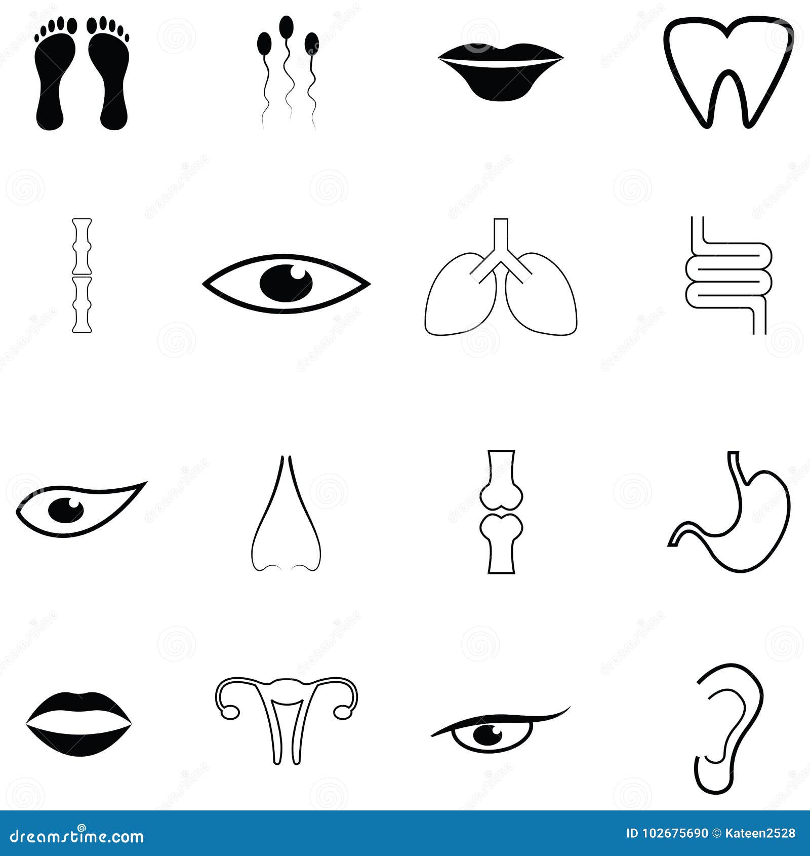Human anatomy icon set stock vector. Illustration of organ - 102675690