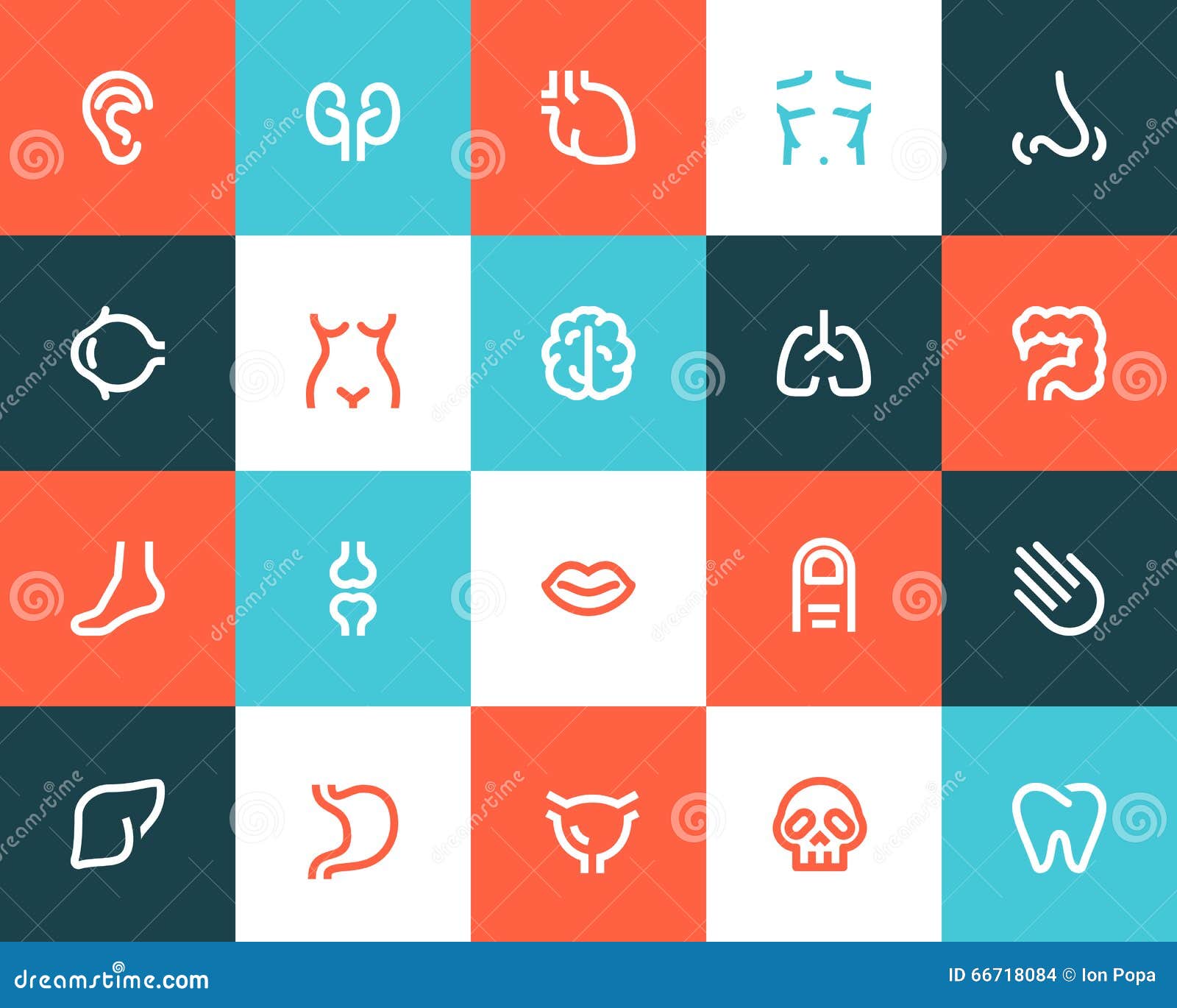 100 Anatomy Icons Set Black Circle Cartoon Vector | CartoonDealer.com ...