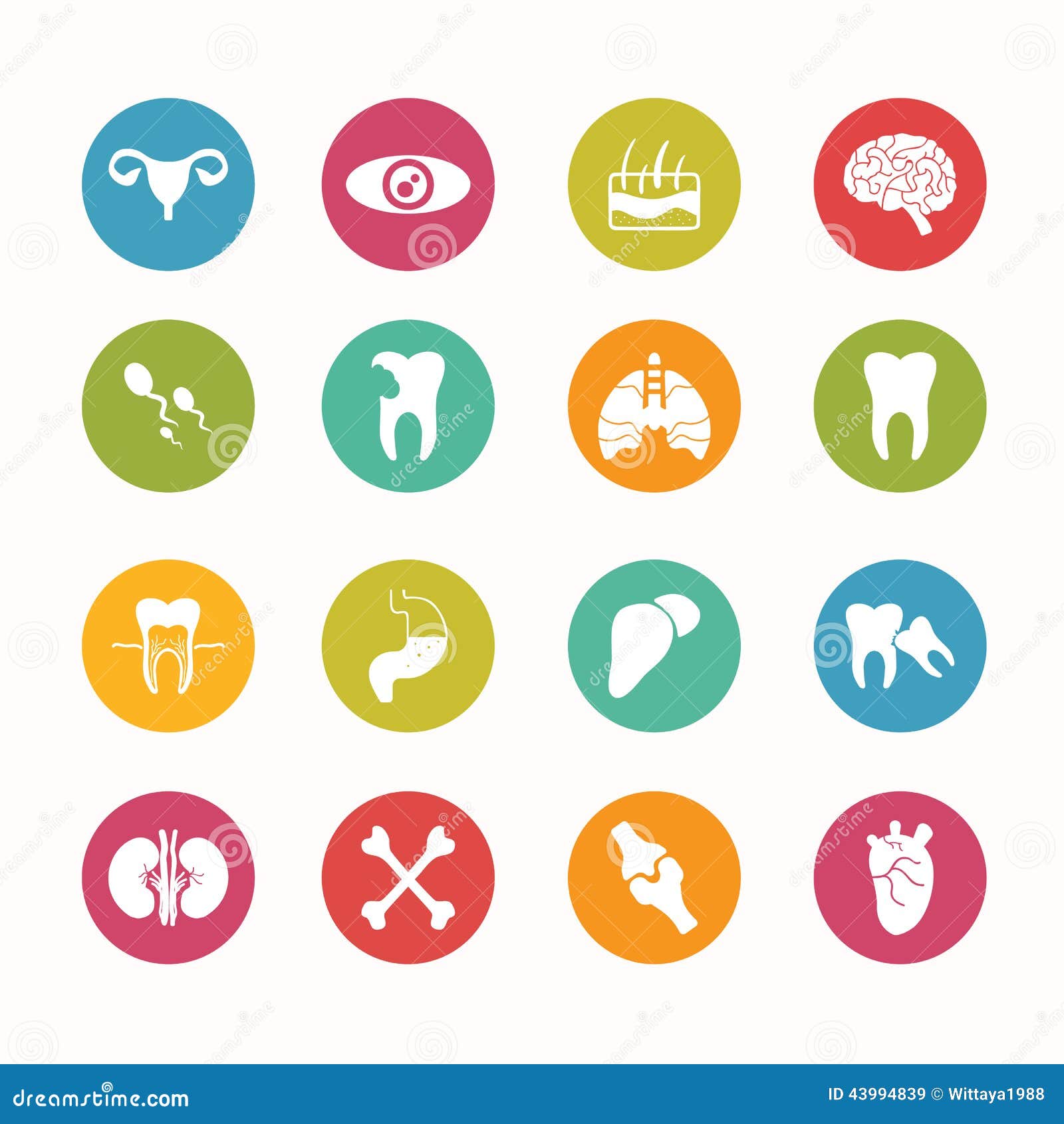 Icons Of A Human Figure, A Set Of Silhouettes Of Human Figures, A ...