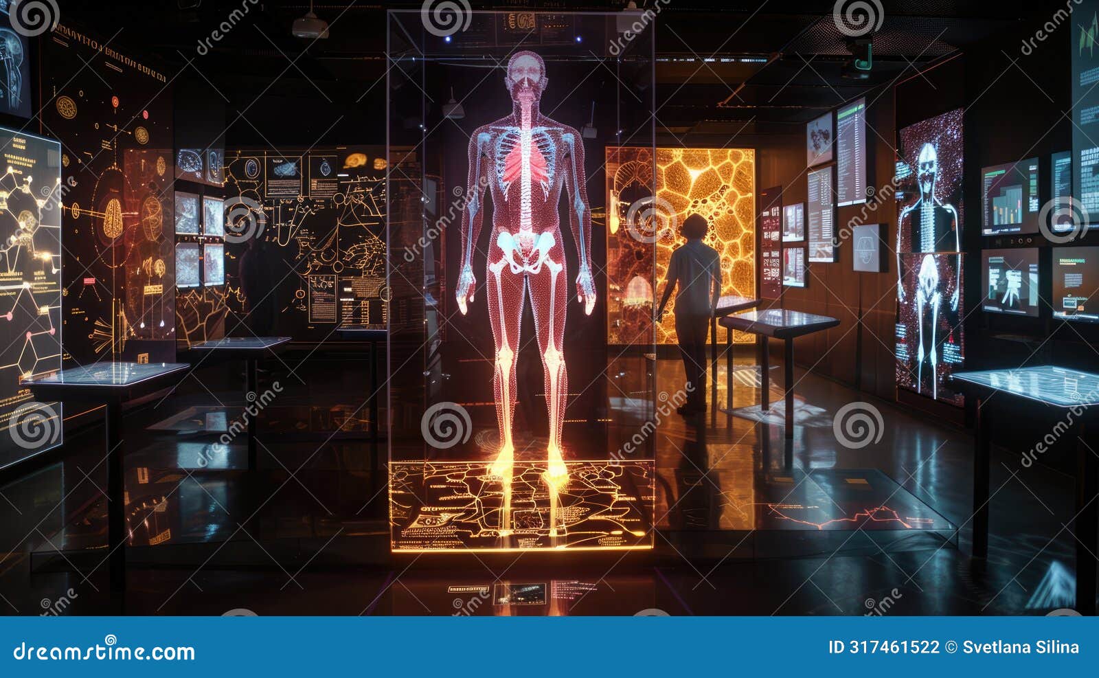Human Anatomy Interactive Display Set in Classroom, Lit by Ambient ...