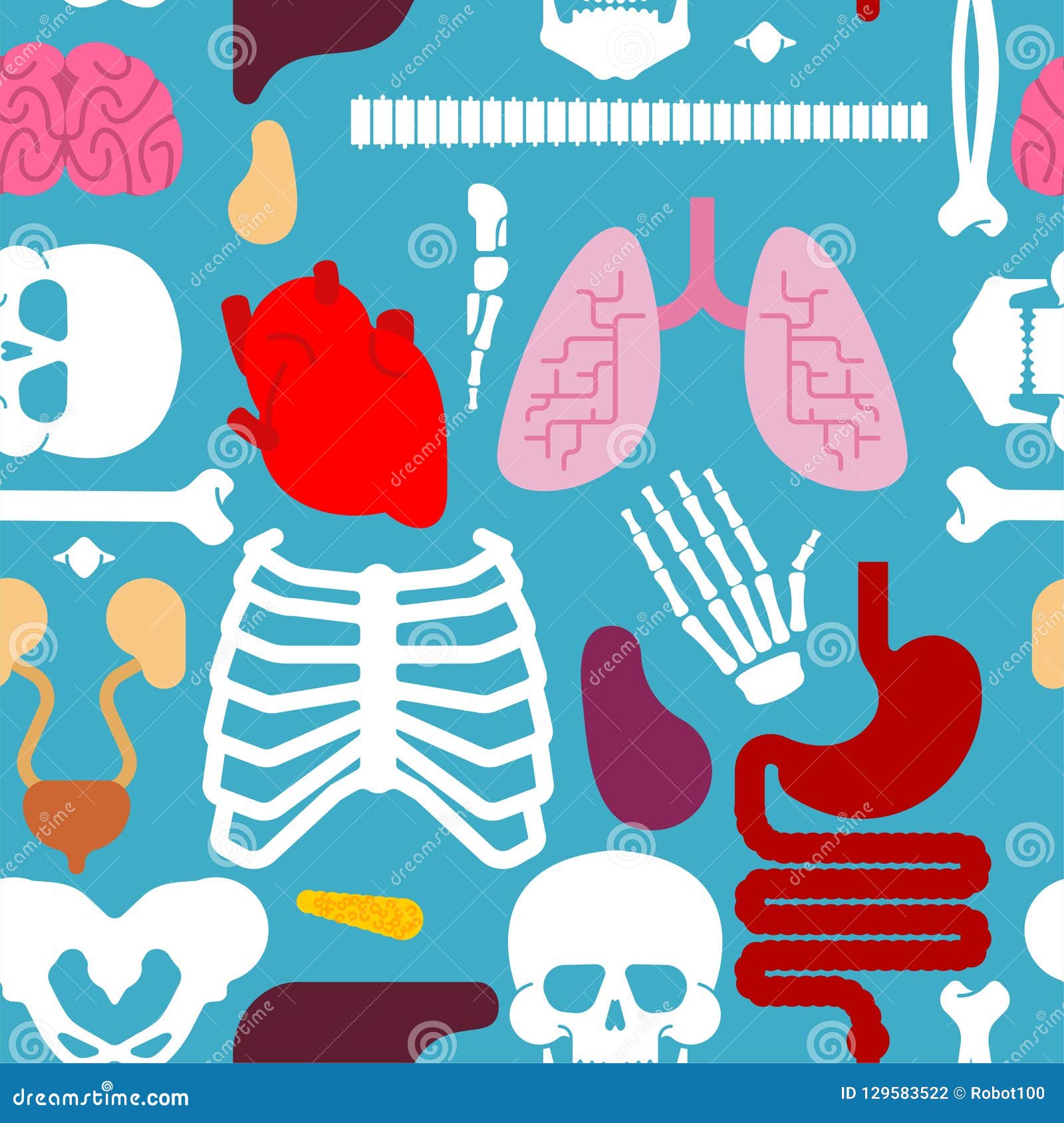 Human Anatomy Pattern Seamless. Skeleton and Internal Organs Background ...