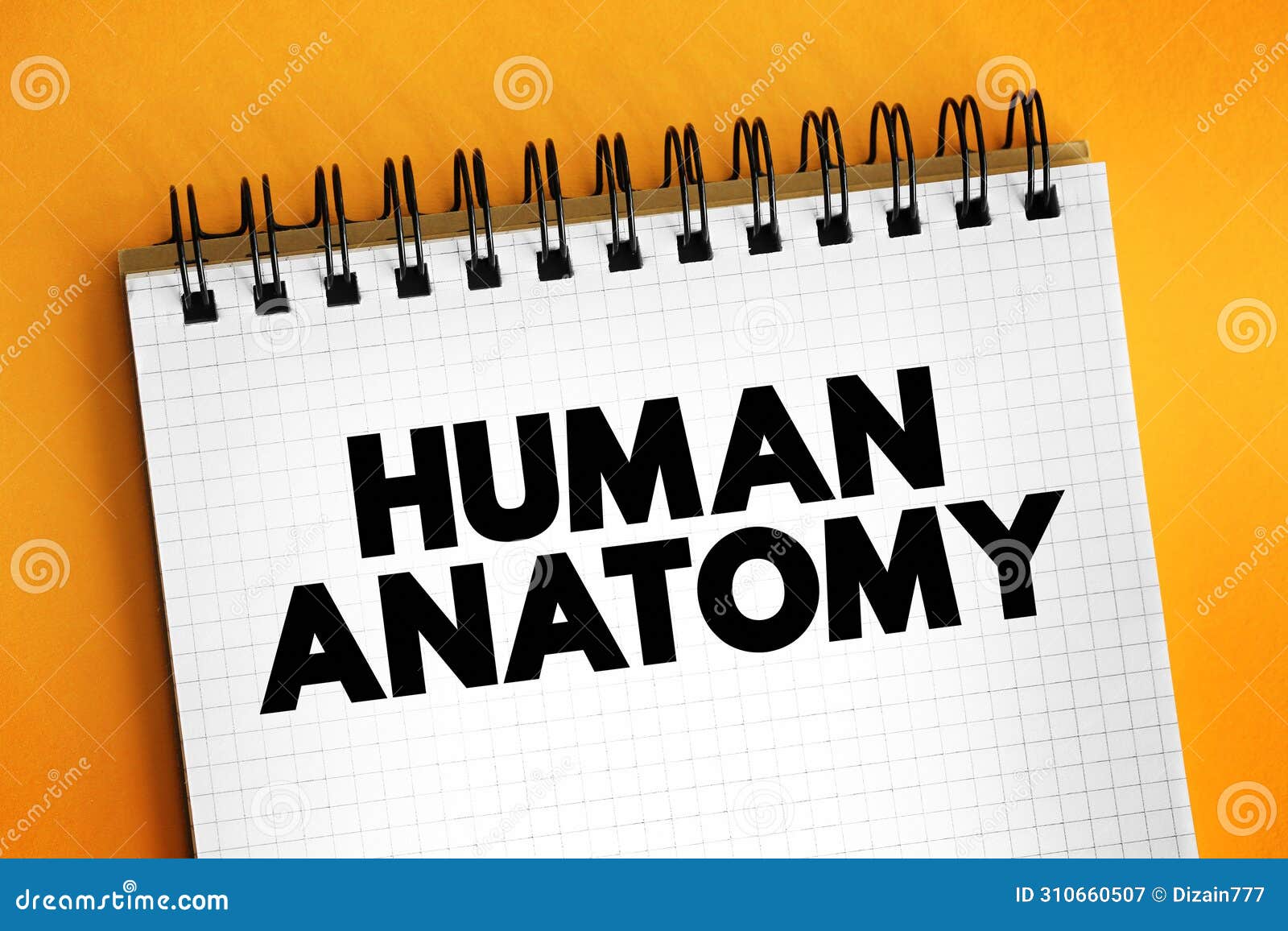 Human Anatomy is the Science that Studies the Structure of the Body ...