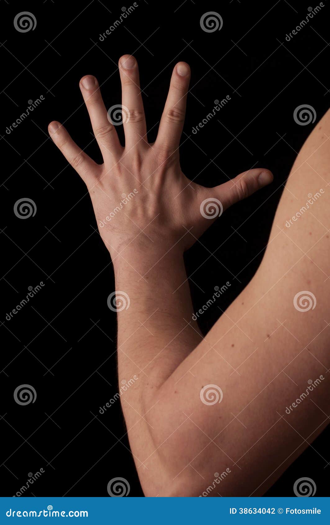 Human anatomy series: hand stock photo. Image of fingers - 38634042