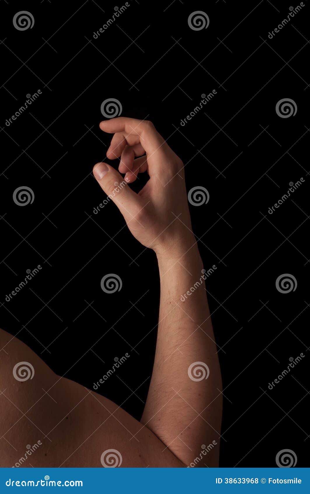Human anatomy series: hand stock photo. Image of palpatory - 38633968