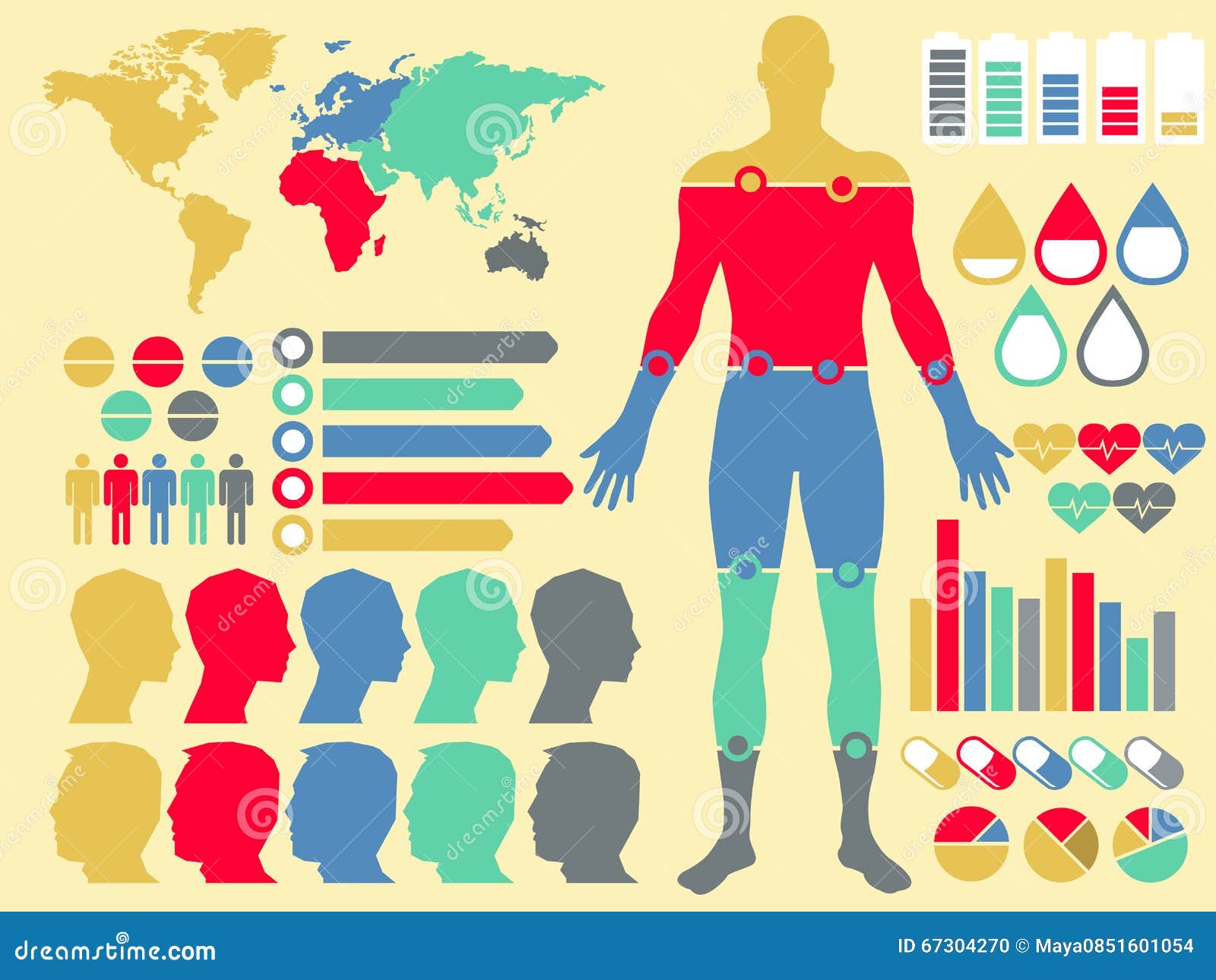 Human anatomy stock vector. Illustration of digital, shape - 67304270