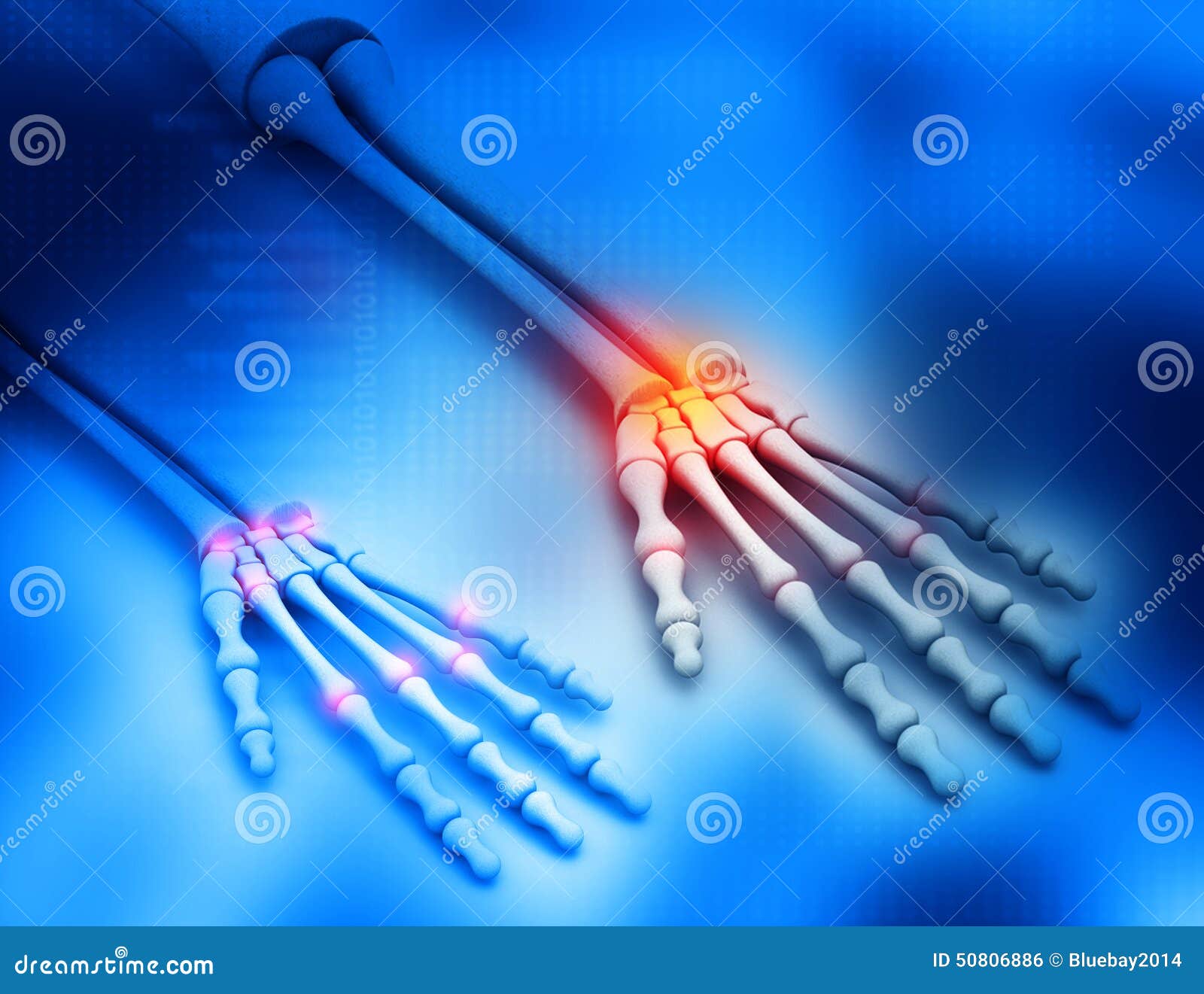 Human Arm Bones Blue Background Stock Illustrations – 120 Human Arm ...