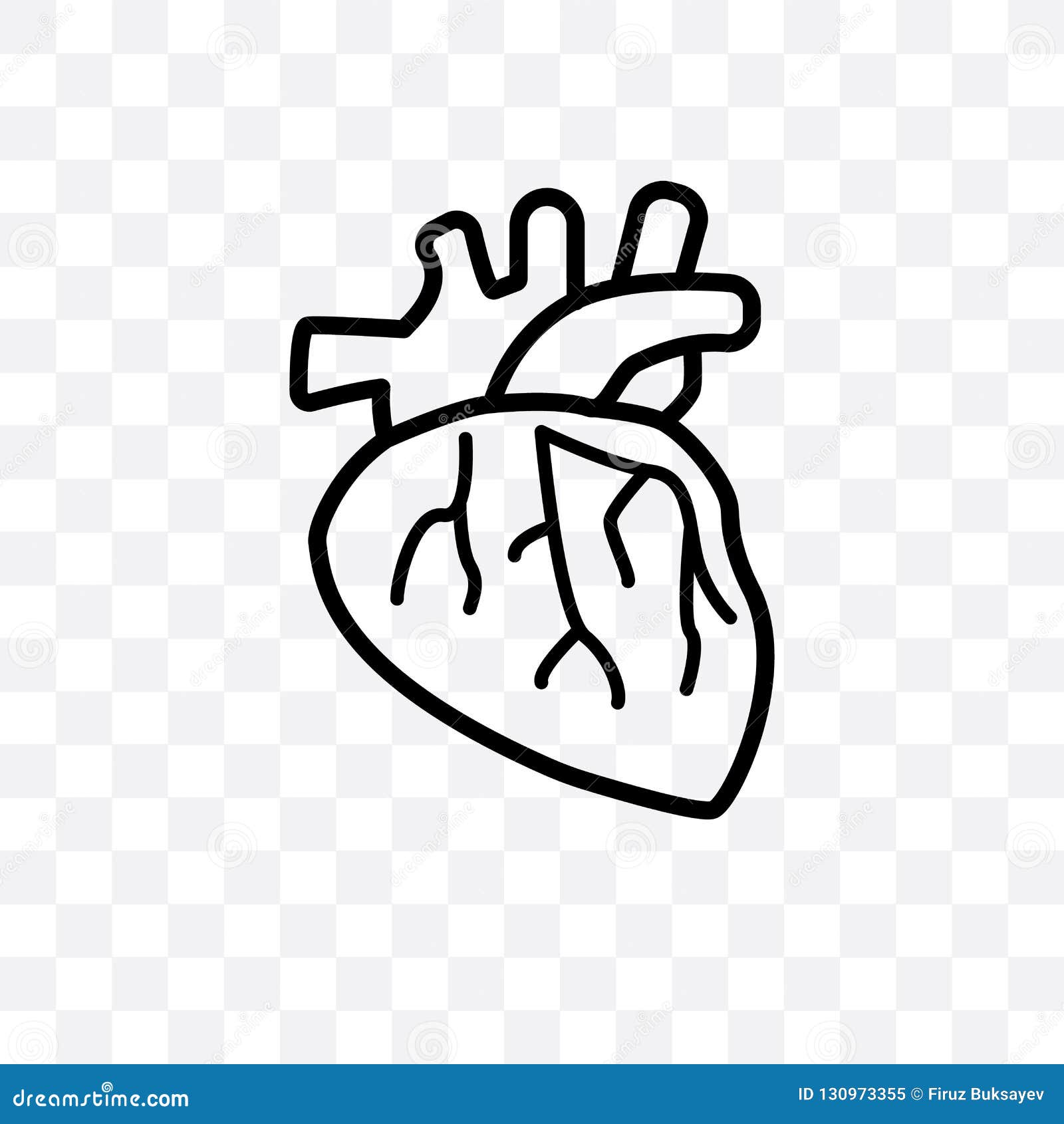 Human Artery Vector Linear Icon Isolated on Transparent Background ...