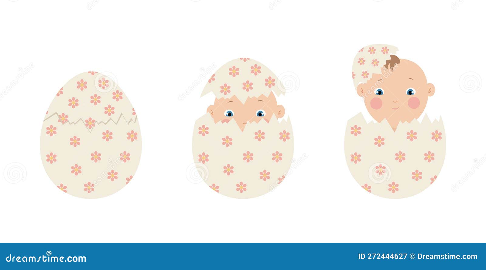 Human Baby Hatching from Egg, Embryo Development Evolution, Vector ...