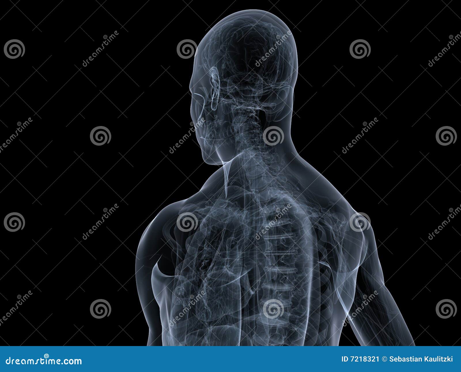 Human back stock illustration. Illustration of health - 7218321