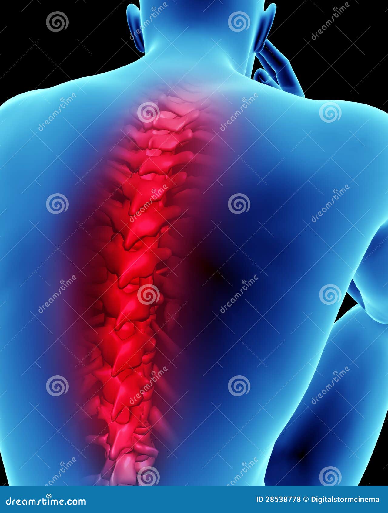 Human back pain stock illustration. Illustration of muscular - 28538778