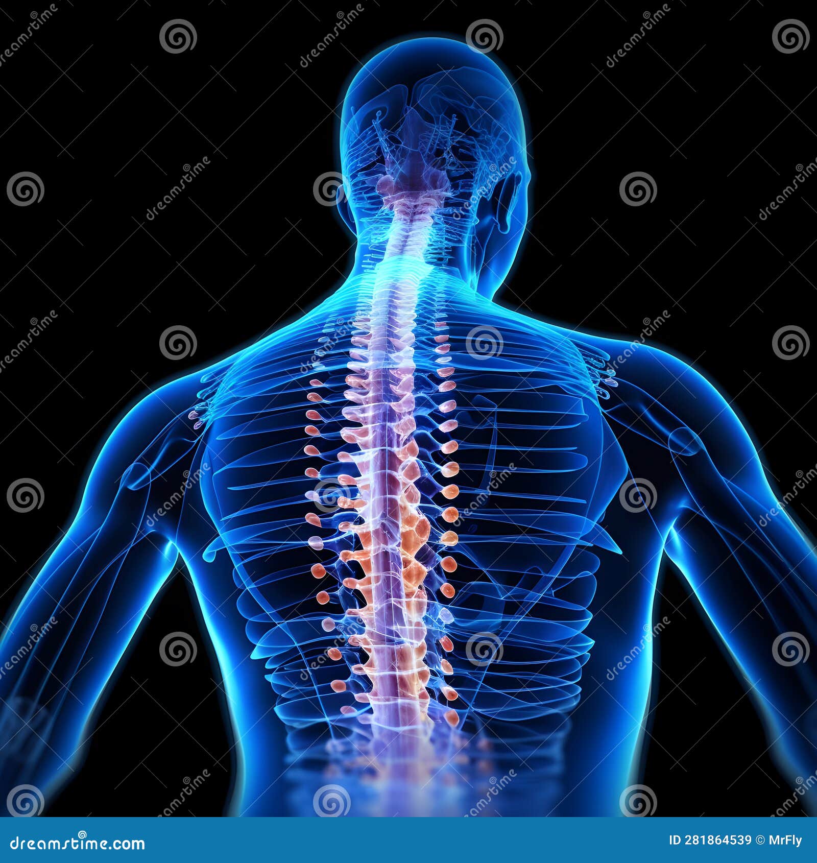 Human back pain concept stock image. Image of showing - 281864539