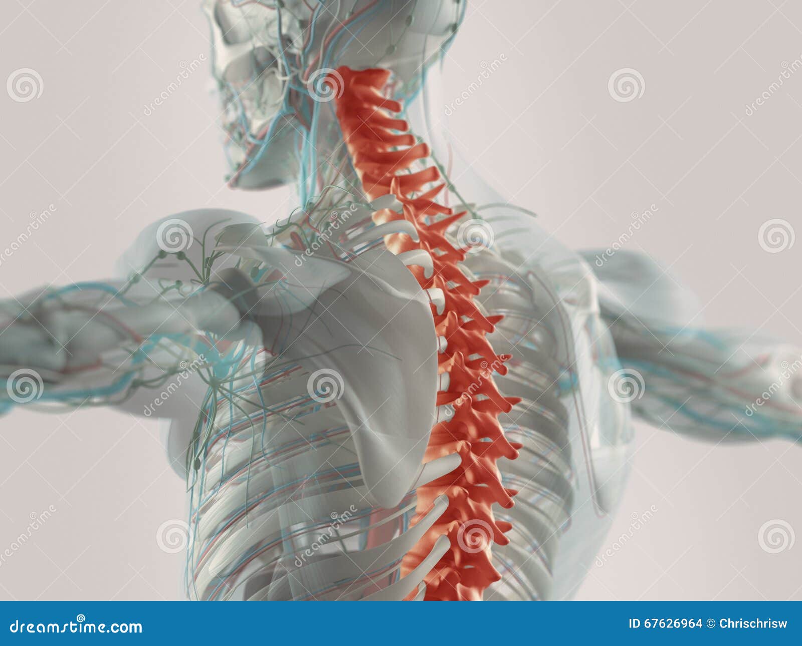 Human back pain stock photo. Image of medicine, metaphor - 67626964