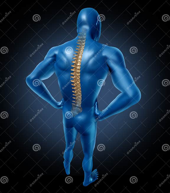 Human back spine posture stock illustration. Illustration of atrophy ...