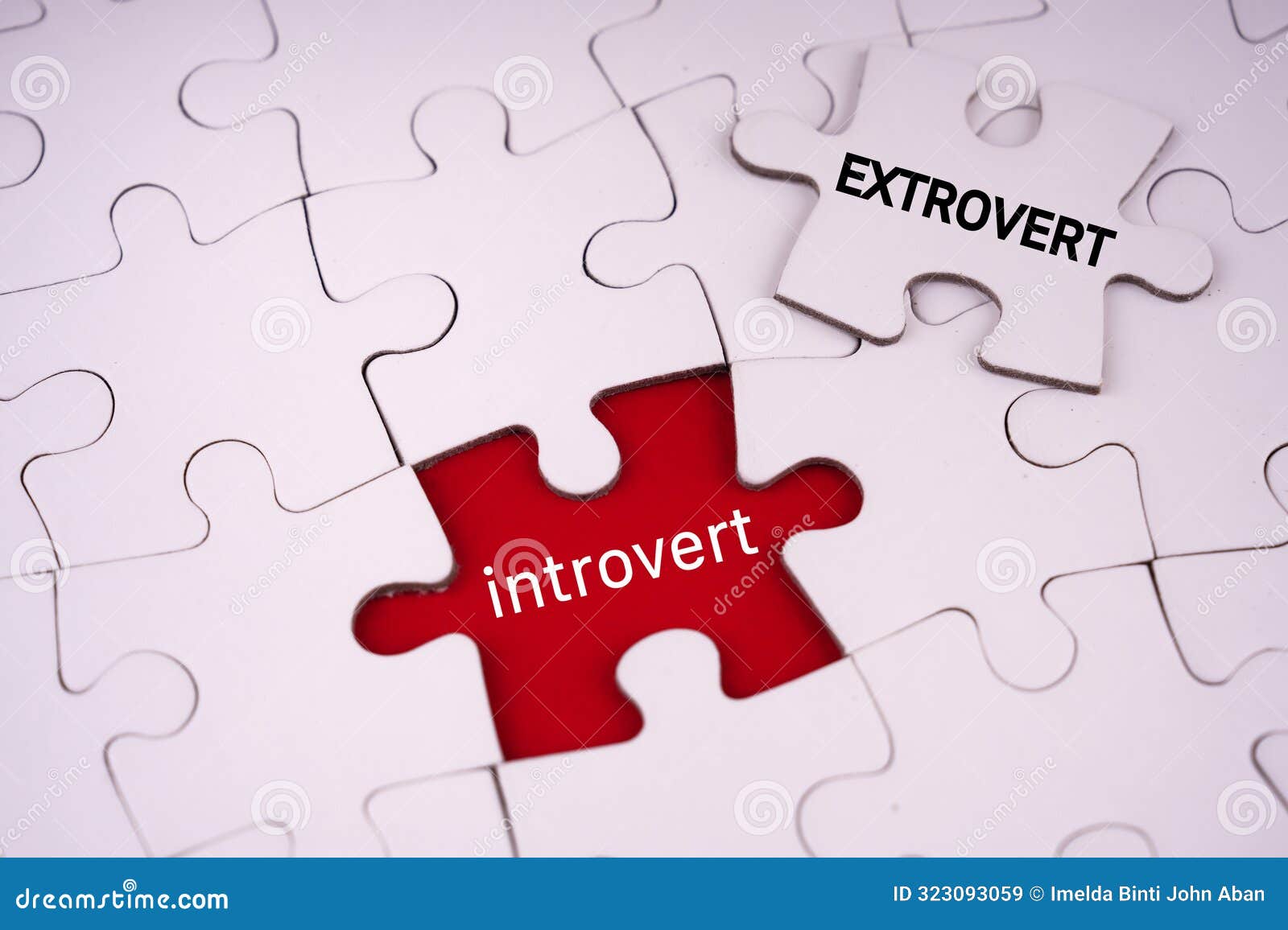 Introvert Extrovert Text Carved On Wooden Signpost Outdoors In Nature ...