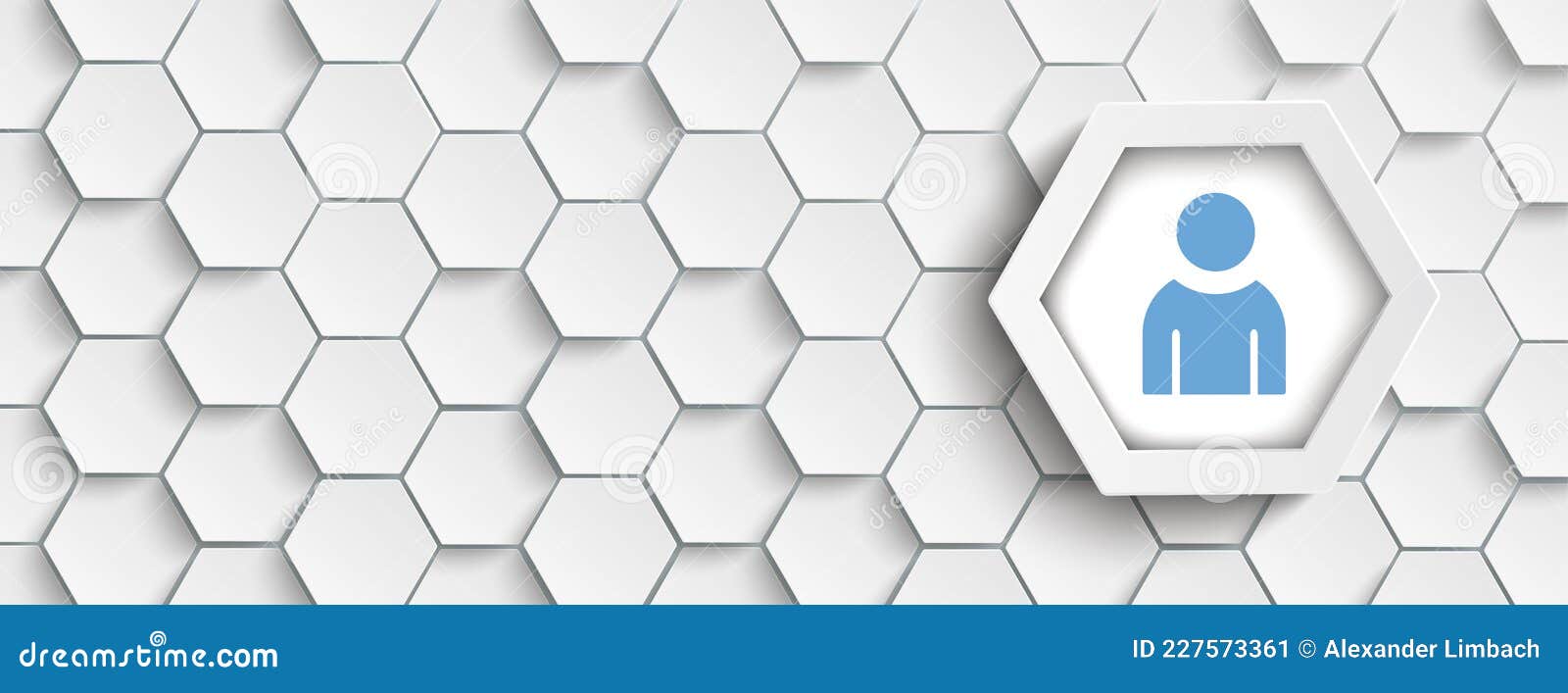 Human Big Hexagons Structure Header Stock Vector - Illustration of ...