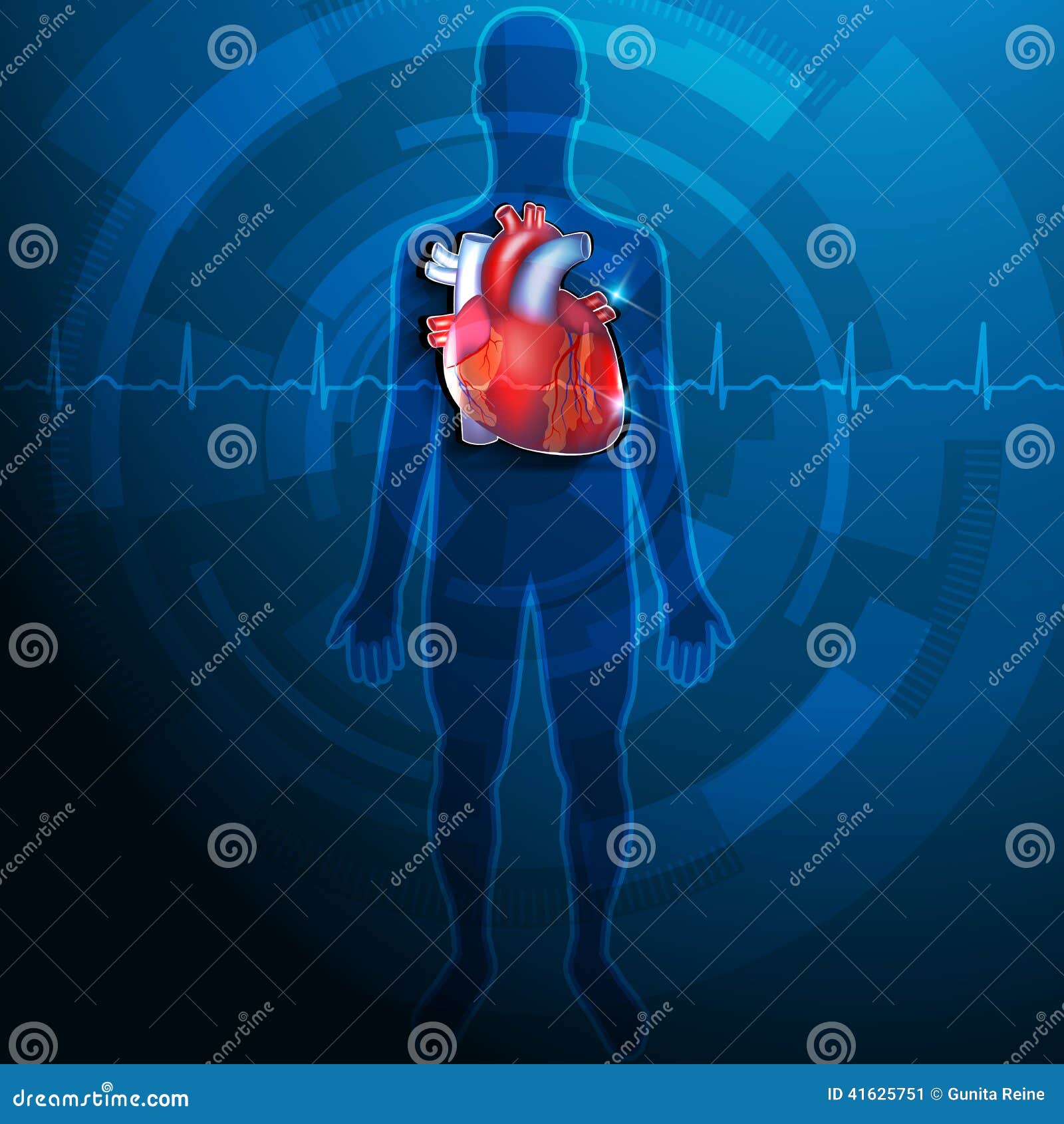 Human and Big Realistic Heart Stock Vector - Illustration of ...