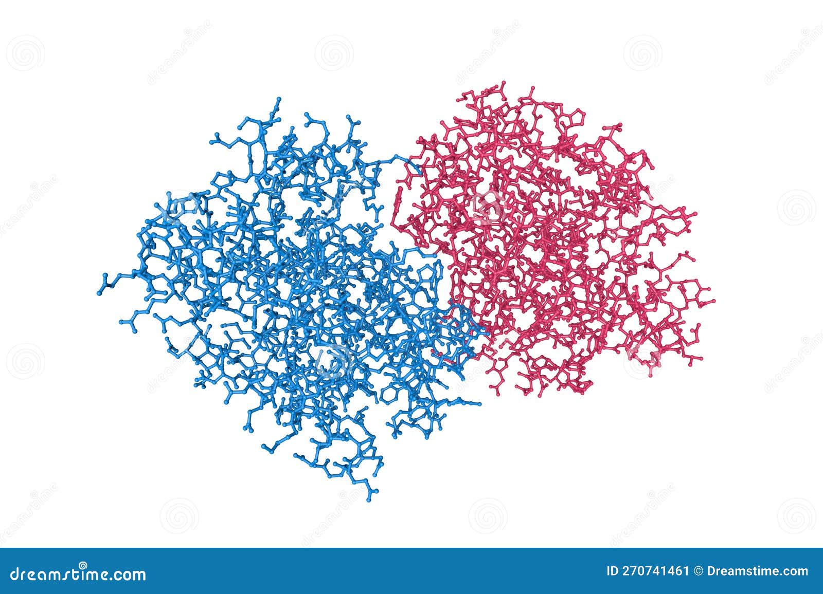 Human Bisphosphoglycerate Mutase. Rendering with Differently Colored ...