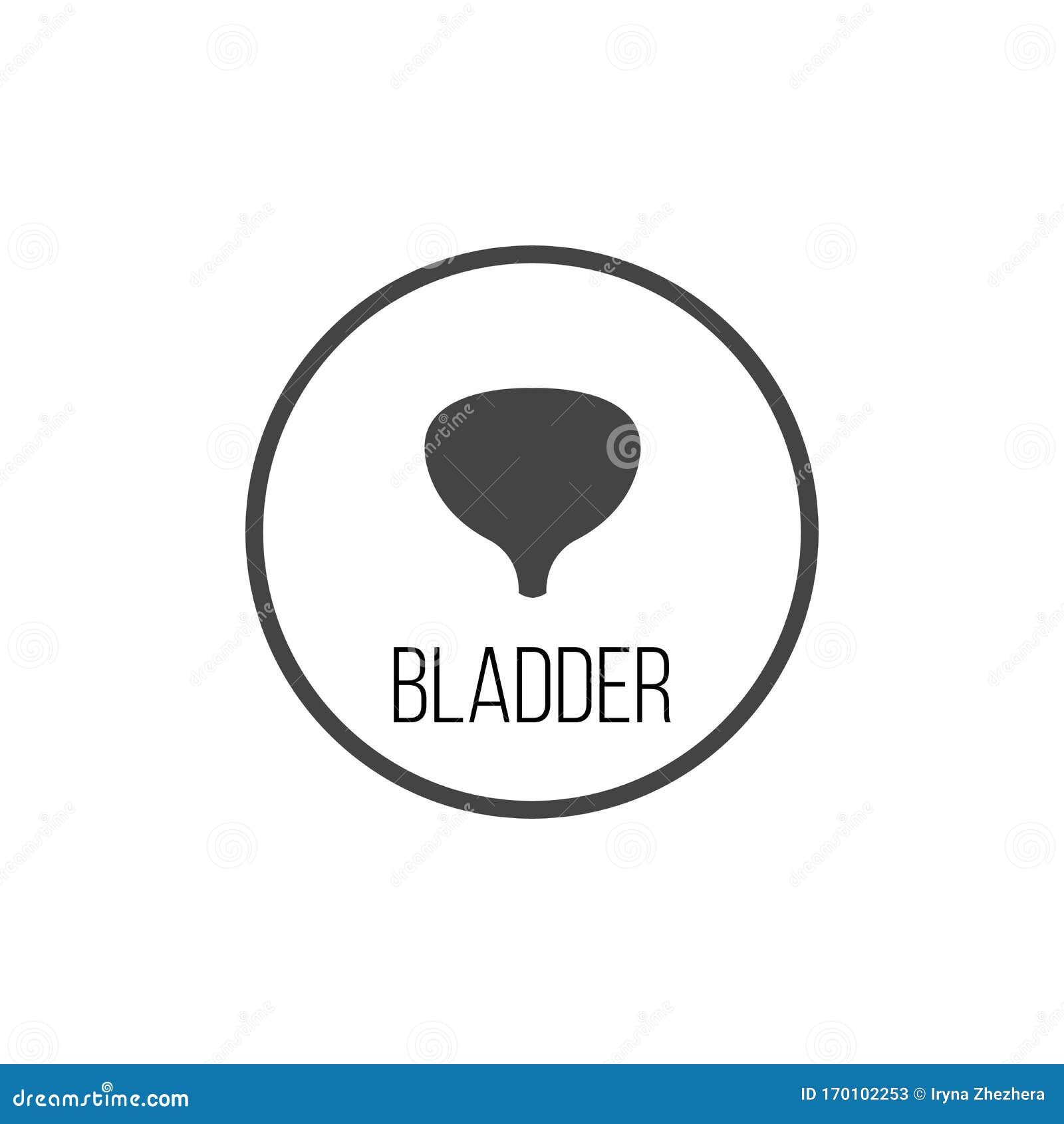 Human Bladder Icon . Simple Illustration of Human Bladder Vector Icon ...