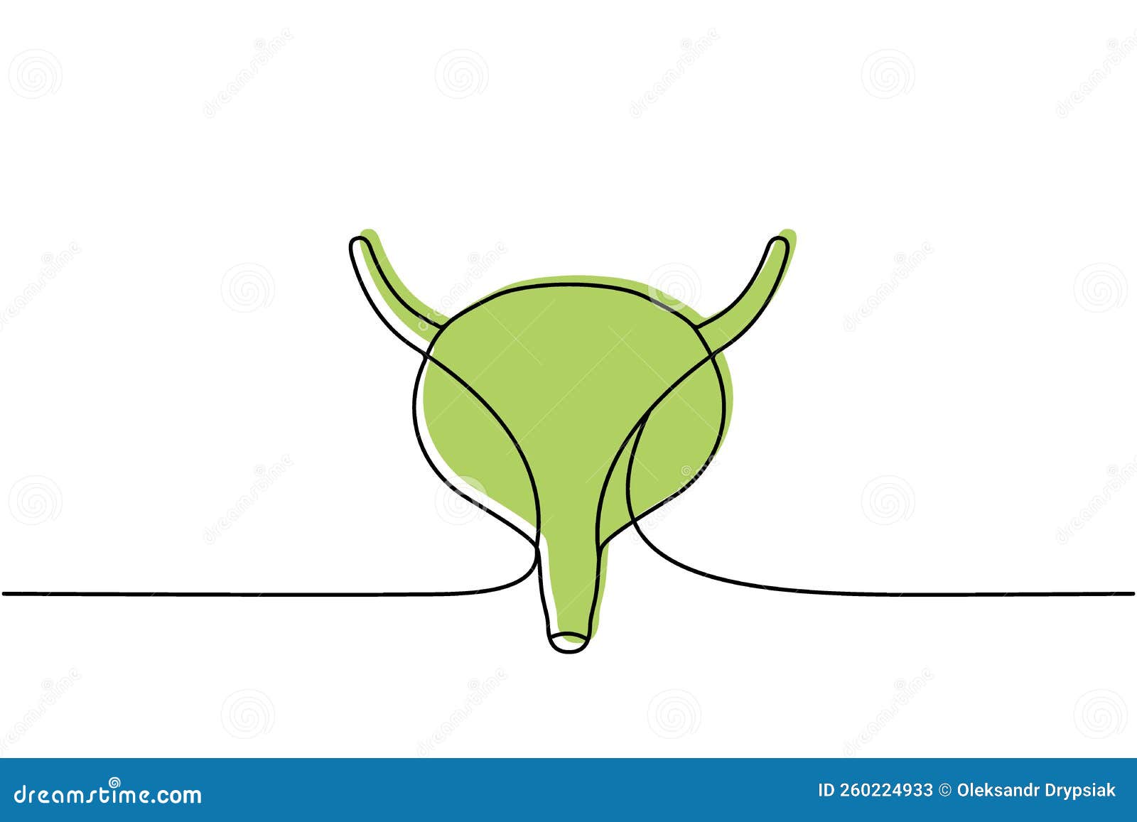 Human Bladder One Line Colored Continuous Drawing. Human Organ ...