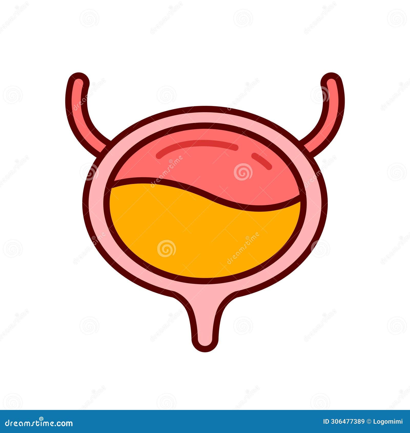 Human Bladder Organ Vector Icon Design Template Elements, Internal ...