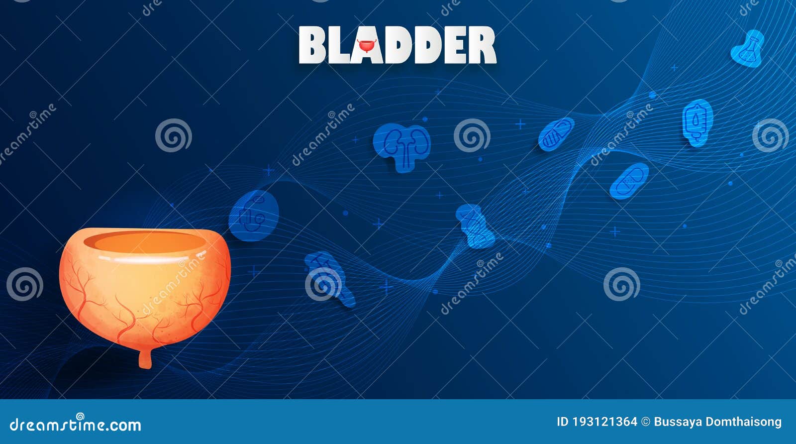 Human Bladder and Treatment Urinary Bladder Abstract Design. Stock ...