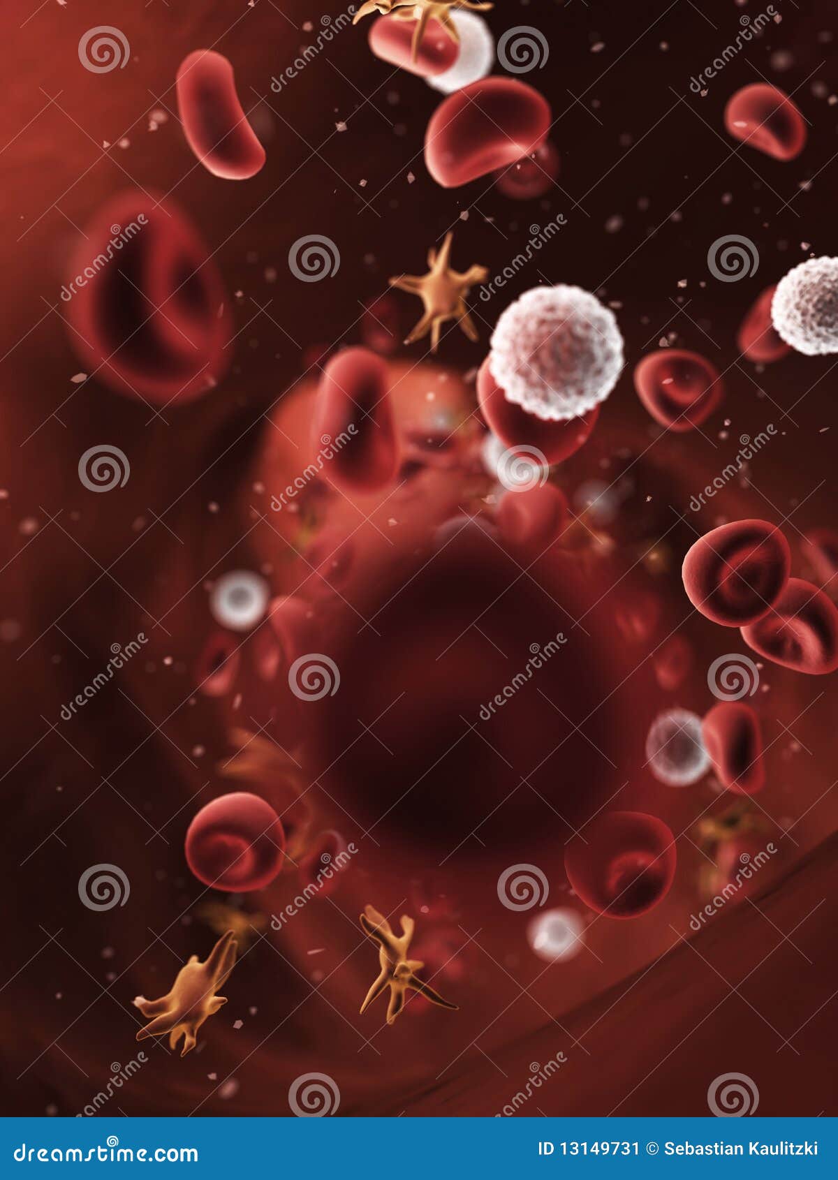 Human blood stock illustration. Illustration of corpuscles - 13149731
