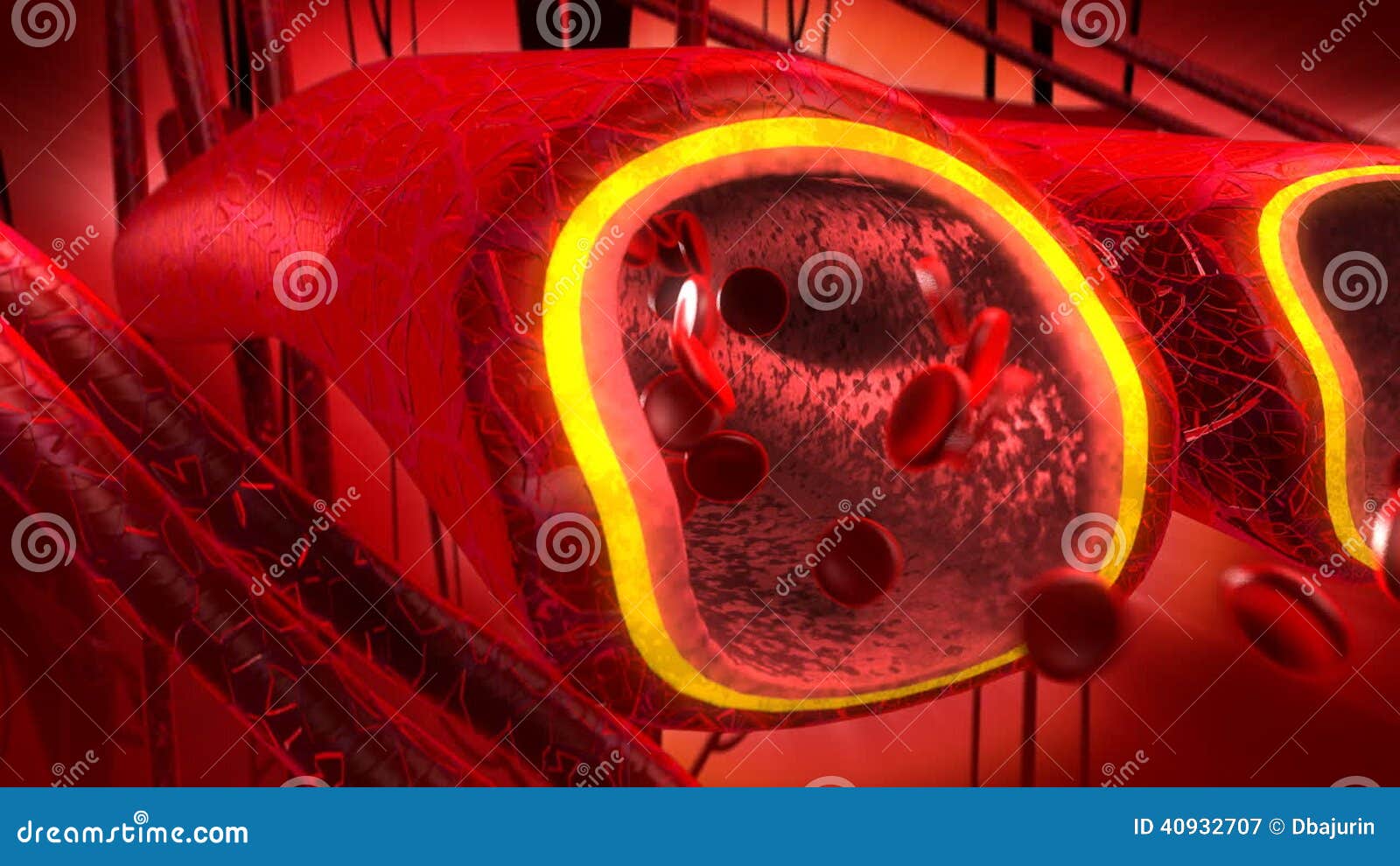 Arteries Cartoons, Illustrations & Vector Stock Images - 14357 Pictures ...