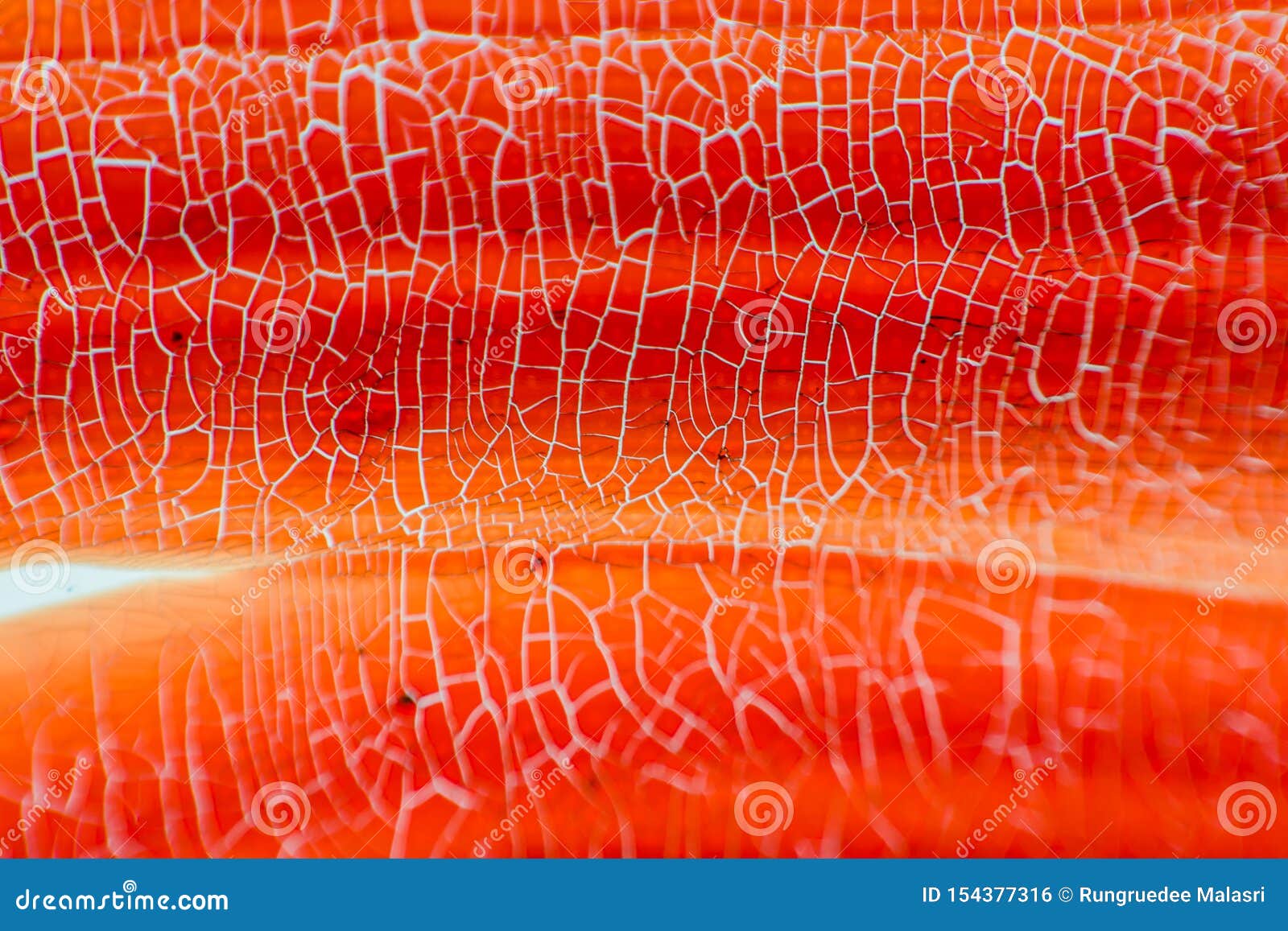 Human blood background stock photo. Image of cell, isolated - 154377316