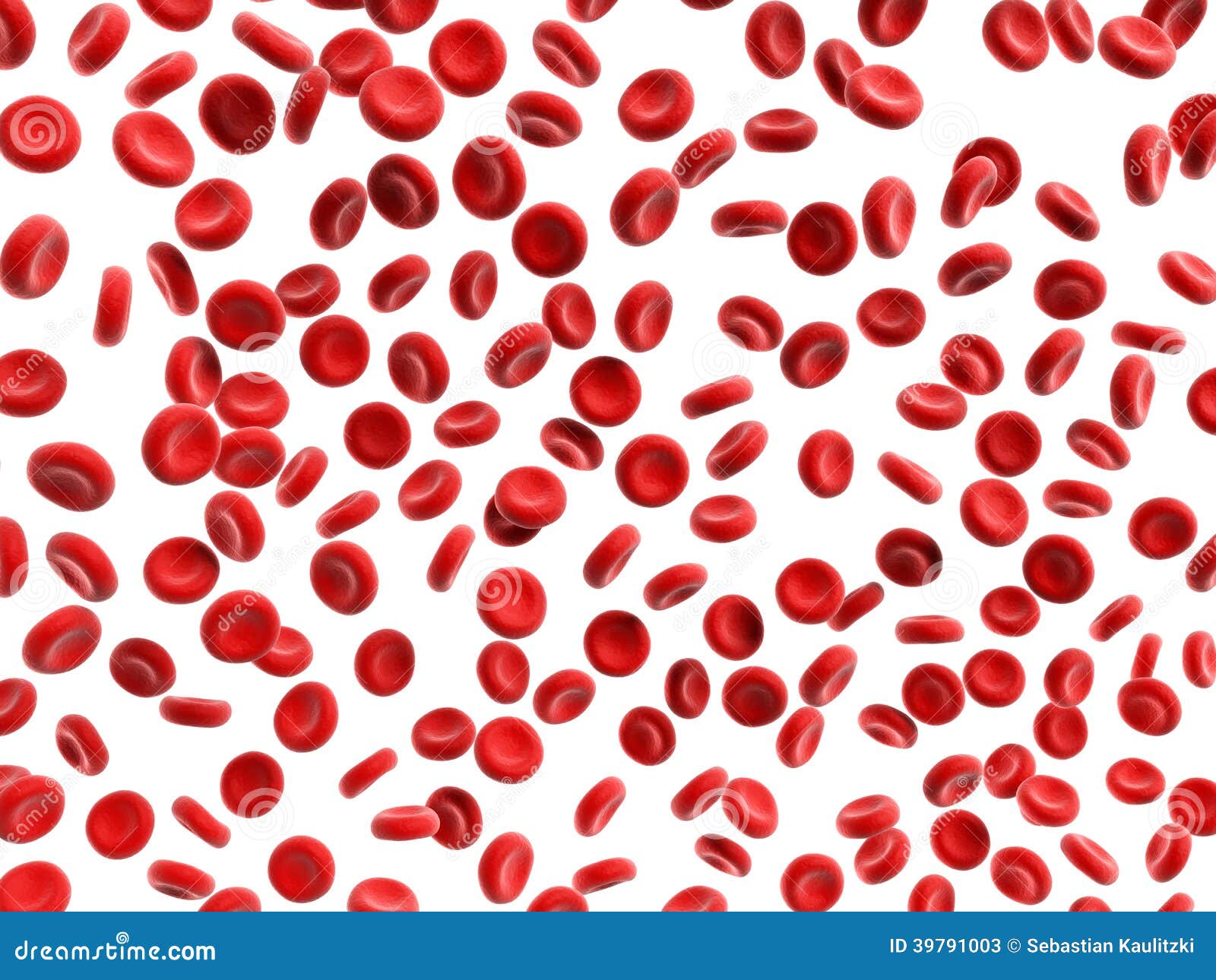 Human Blood Cells - Close Up Stock Illustration - Illustration of cells ...