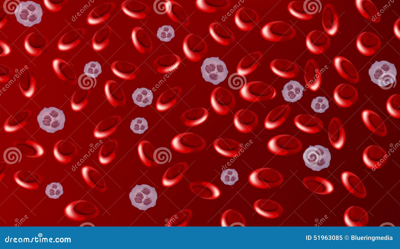 Human blood cells stock vector. Illustration of glucose - 51963085