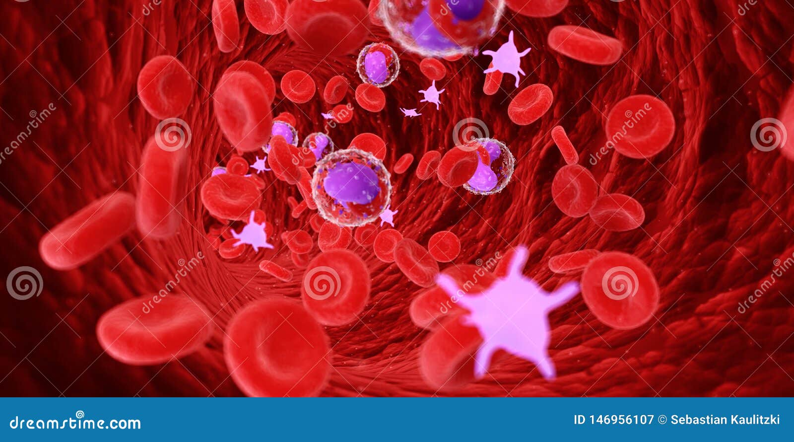T Lymphocytes Or T Cells With TCR Receptors In 3d Illustration ...
