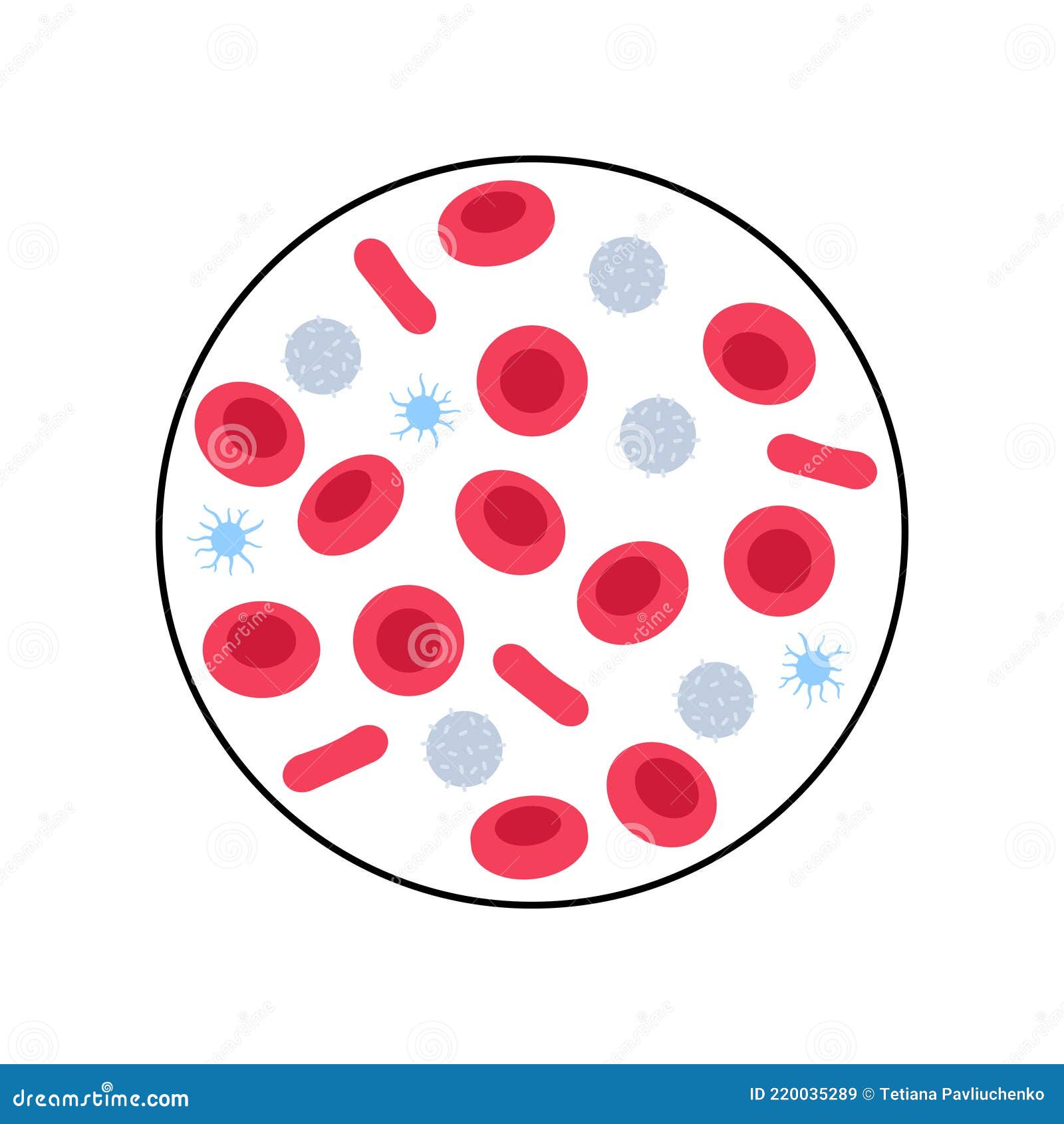 Blood structure concept stock vector. Illustration of circulation ...
